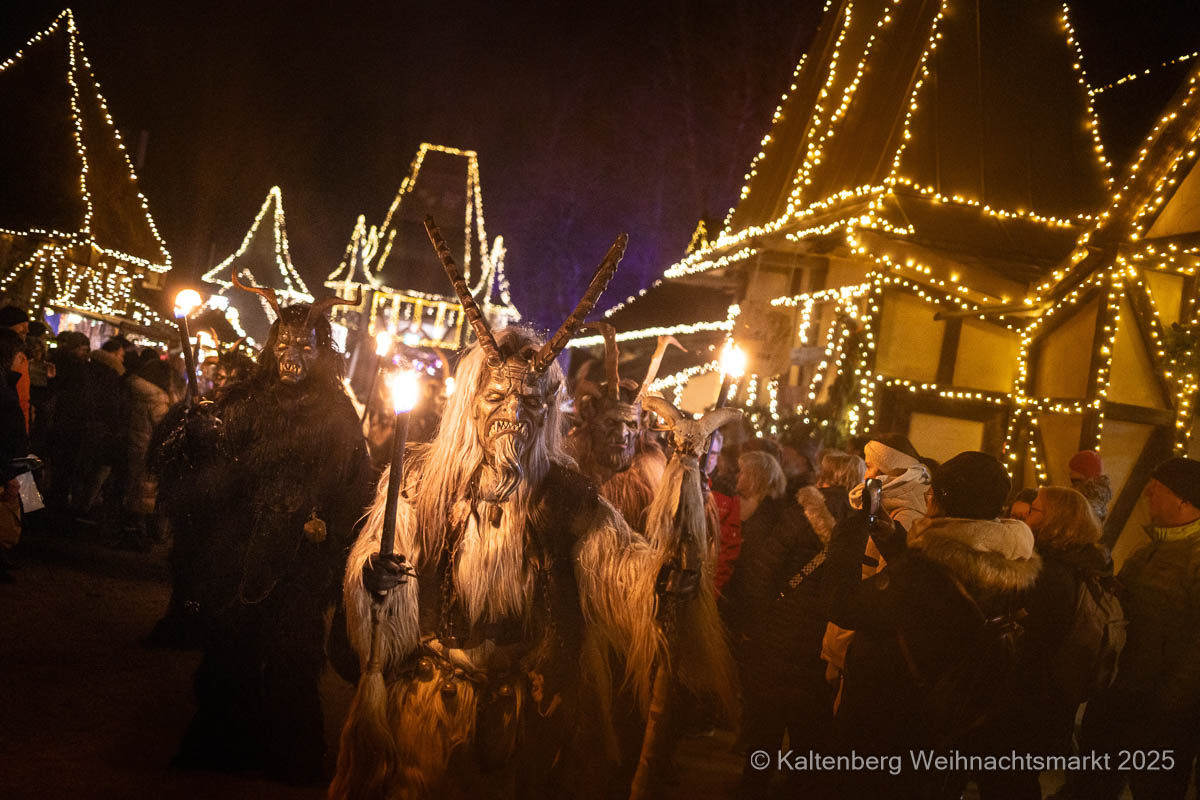 Ein Wintermärchen erwacht: Der Weihnachtsmarkt 2025 auf Schloss ...
