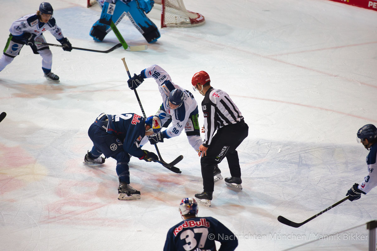 EHC Red Bull München vs. Straubing Tigers Archive - Nachrichten München