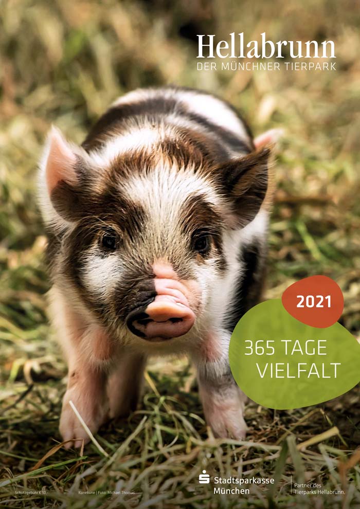 Die Vielfalt der Hellabrunner Tierwelt für zu Hause: Der neue Tierpark-Kalender ist da ...